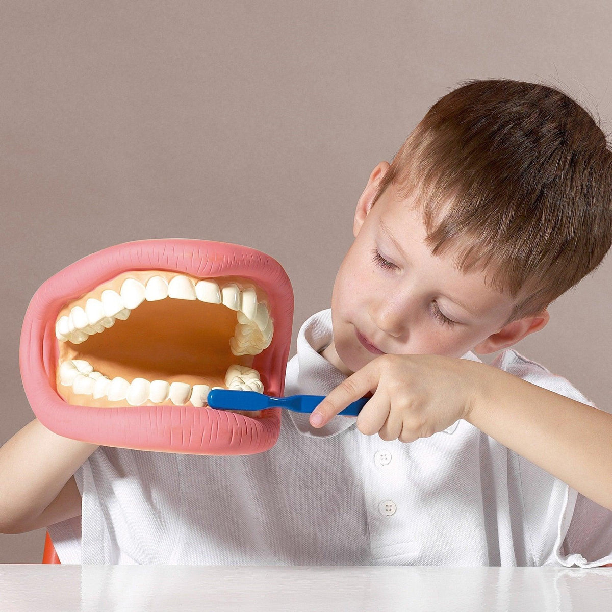 tickit® Giant Teeth Demonstration Set
