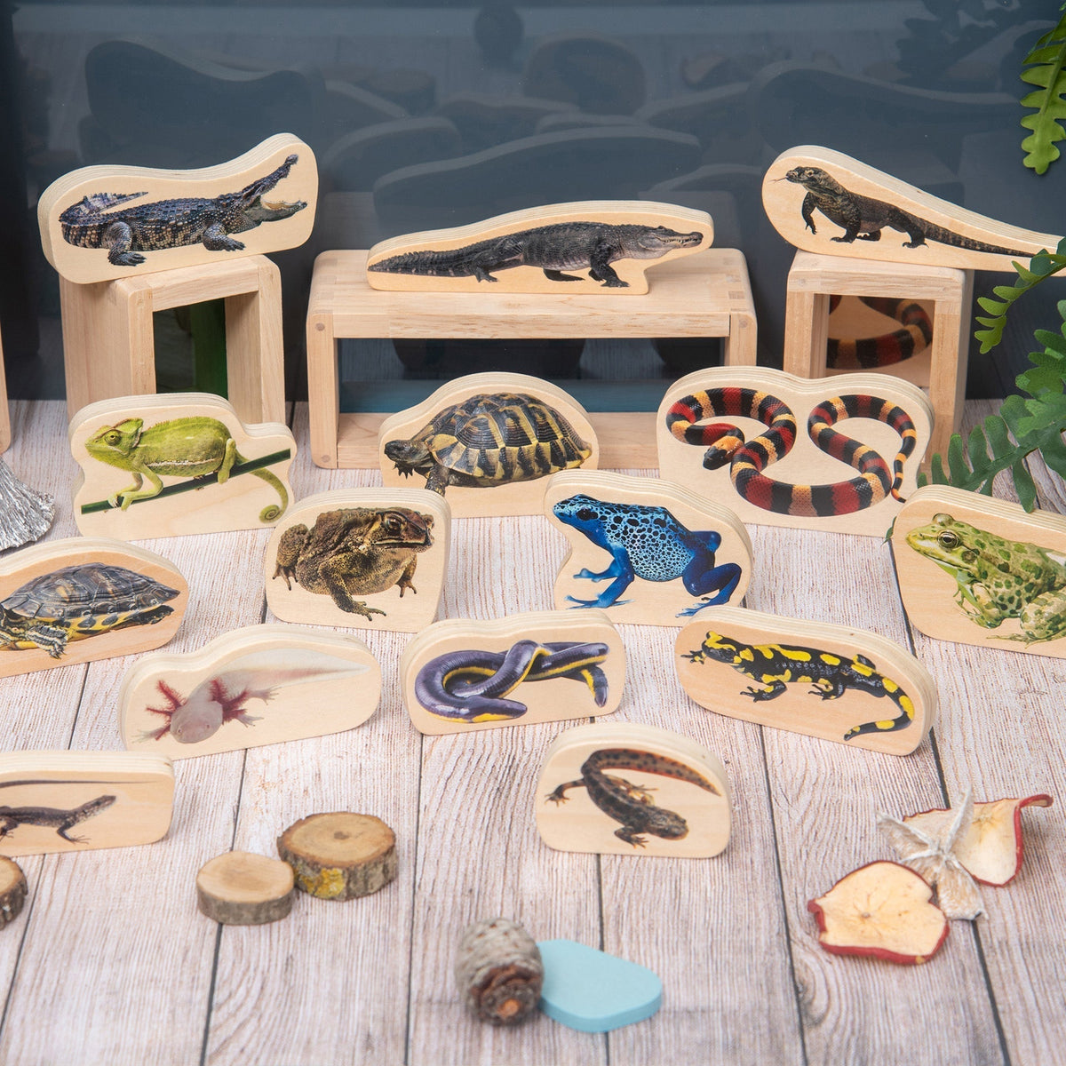 tickit® Wooden Reptile & Amphibian Blocks