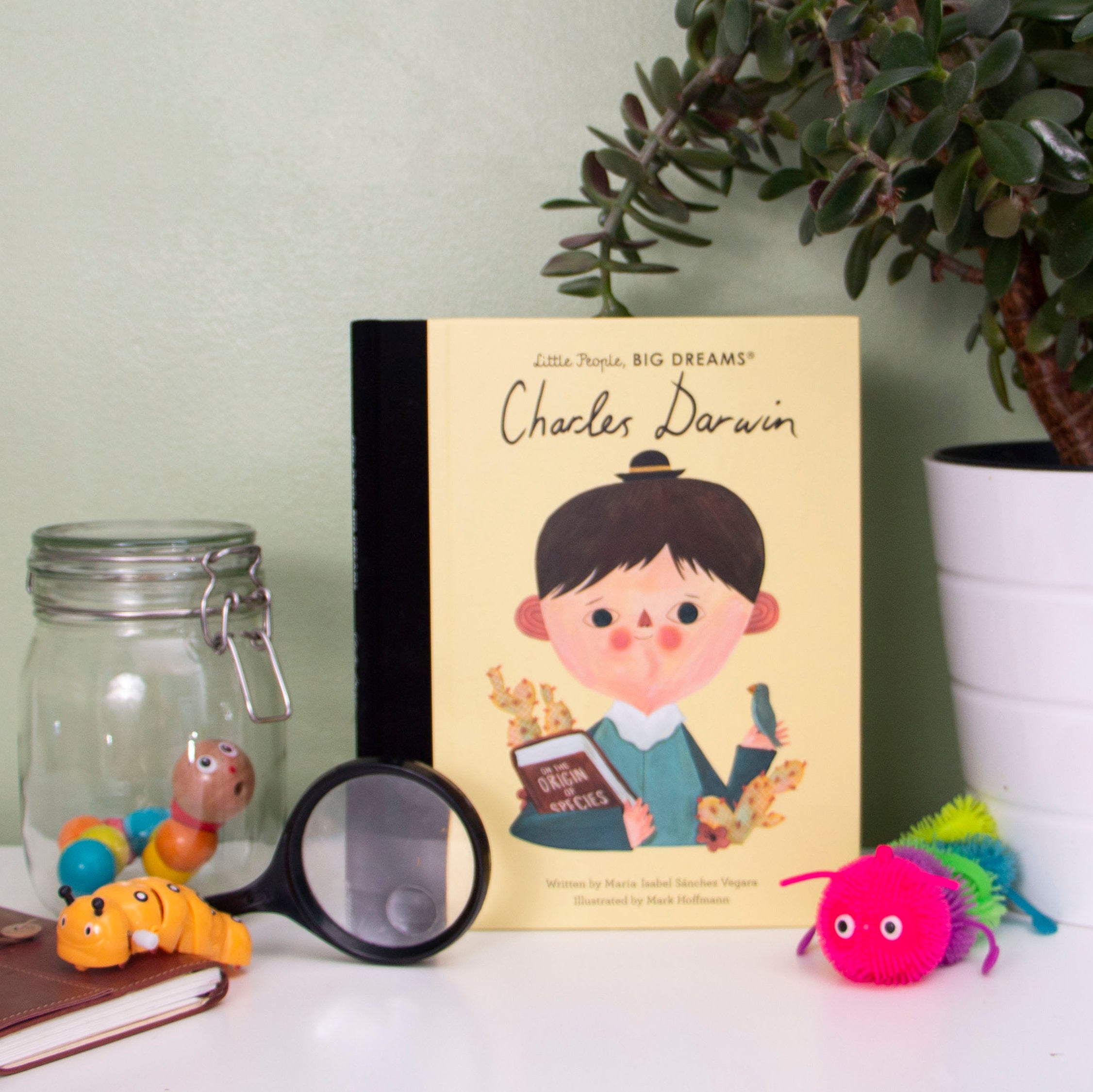 Little People Big Dreams Book Bundle – tickit®
